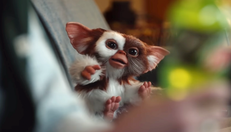 Gizmo et Zach Galligan se retrouvent pour une publicité Mountain Dew ...