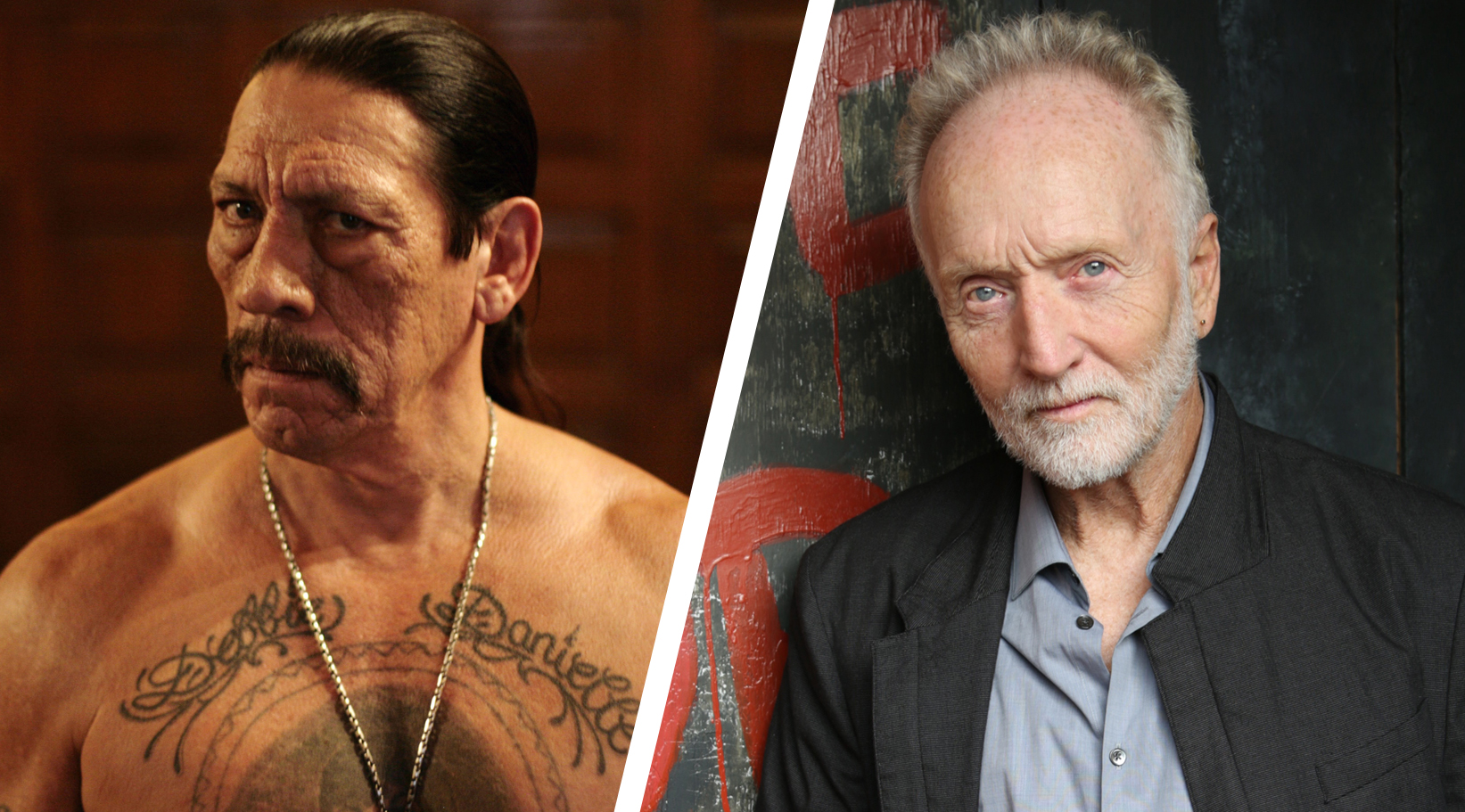 Danny Trejo publiera ses mémoires dans «Trejo: My Life of Crime ...