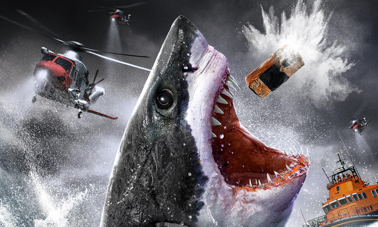 «Sharkula»: un requin qui veut sucer votre sang!